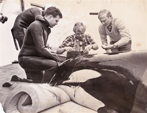 Ted Griffin Orca