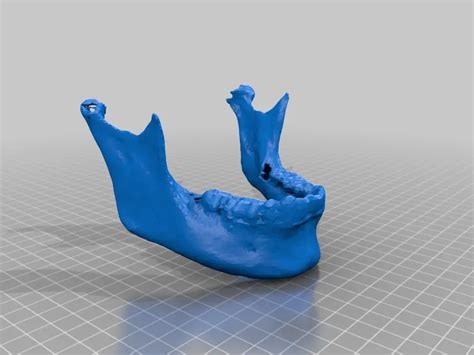 Ben Engel Ct Scan Exprt By Ben Engel Makerworld