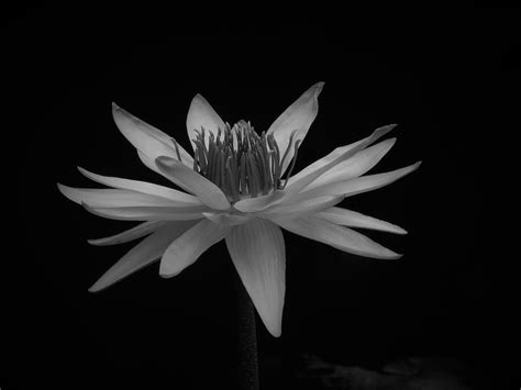 Cisa Calls For Urgent Overhaul Of Uefi Cybersecurity Measures