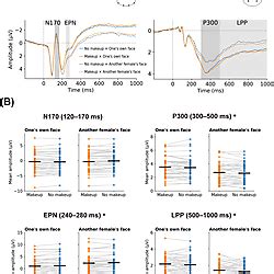 ERP Results In Experiment