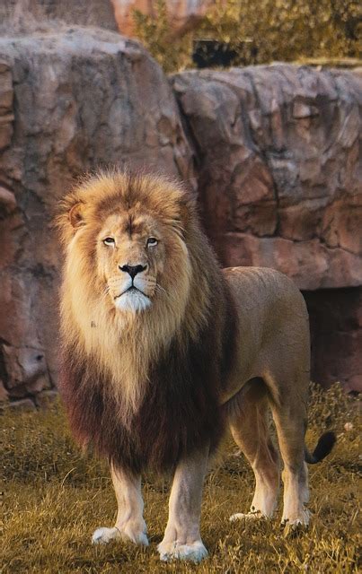 Cannot Copy To Ibfsfolder Articles Ibi Community