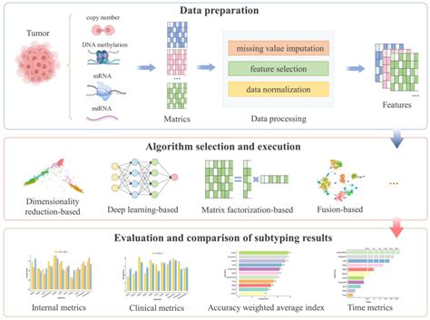 Comprehensive Evaluation Of Multi Omics Clustering Algorithms For Cancer Molecular Subtyping Pmc