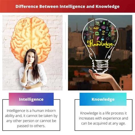 Intelligence Vs Knowledge Difference And Comparison