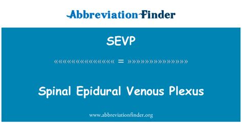 Sevp Sta Per Plesso Venoso Epidurale Spinale Spinal Epidural Venous Plexus