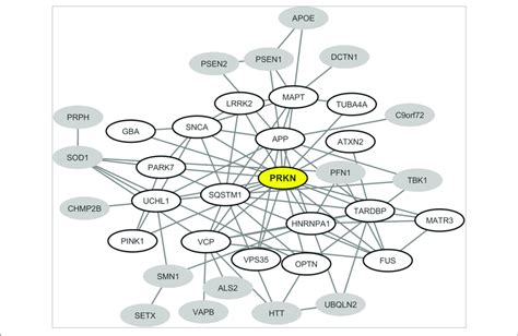 Mapping Of The Protein Protein Interaction Network Linking Common