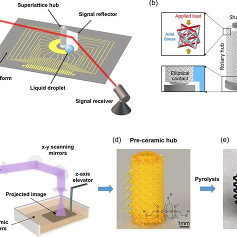 Xiaoyu Zheng University Of California Berkeley Ca Ucb Department Of Materials Science