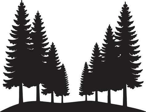 Evergreen Trees Silhouette Against White Background Forest Black And