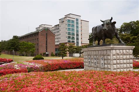 대학의 모든것 텐덤 학교가 넘 커서 중국에도 캠퍼스 있다 대진대학교 재학생의 생생한 대학리뷰