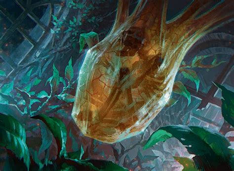 Mtg Standard Aetherdrift Simic Manifest Top Decks Mtg Decks