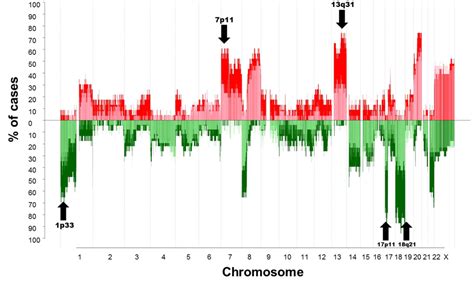 Alteraciones Geneticas Definen Si Un Cancer Colorrectal Desarrollara
