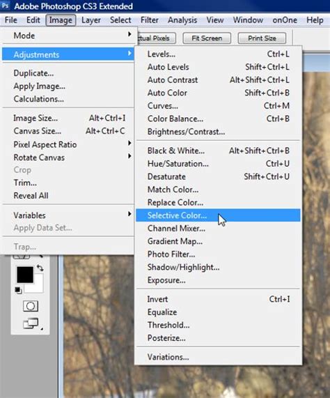 How To Create Snow In A Photograph Using Photoshop Lorri Freedman Photography