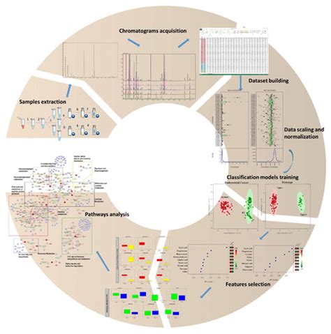子宫内膜癌的代谢组学特征 Journal Of Proteome Research X Mol