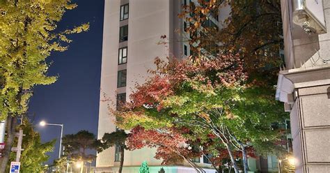 수십 명 우르르 중국인 관광객 아니라 ‘임장 크루였다