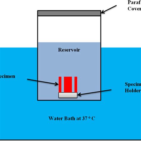 The Fdm Fabrication Process Requires Auxiliary Support Structures In Download Scientific