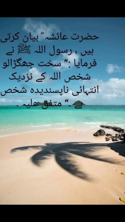 جھگڑالو شخص Youtube