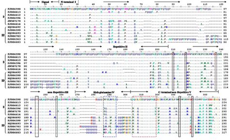 Multiple Alignment Of The Deduced Amino Acid Sequences Of 12 C Gliadin