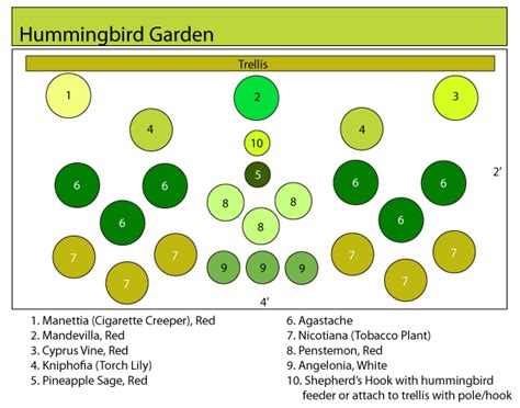 Hummingbird Garden Plans Hummingbird Butterfly Garden Pinterest