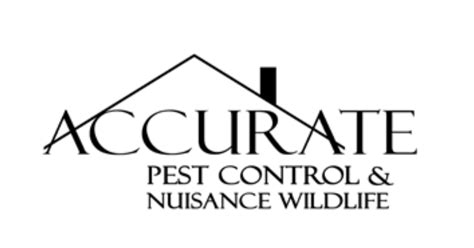 Pest Control System Accurate Pest Control Rotterdam