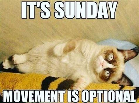 Best Funny Sunday Memes For The Weekend Funzumo Hot Sex Picture