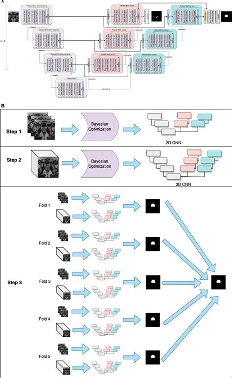 Frontiers A Multi Object Deep Neural Network Architecture To Detect Prostate Anatomy In T2