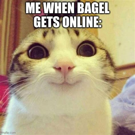 Smiling Cat Meme Imgflip