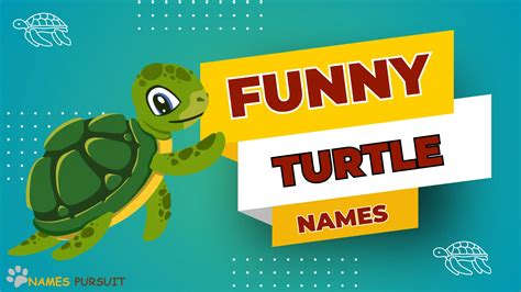 120 Funny Turtle Names A Z