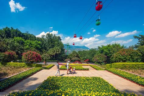 市民反映：攀枝花公园里的观光车 消失”了！记者调查背后原因赵婆婆