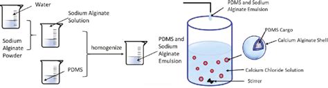Encapsulation Of Hydrophobic Cargo With The Ionic Gelation Method