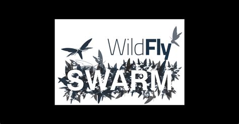 Putting The “micro” In Microservices With Wildfly Swarm Red Hat Developer