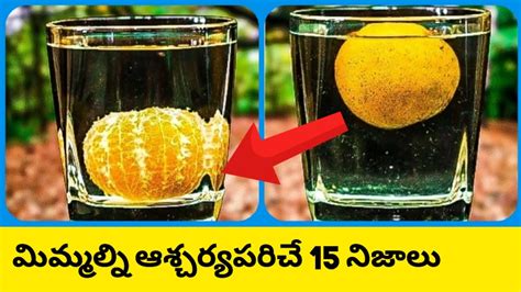Top 15 Intresting Facts In Telugu Amazing Telugu Facts Unbelievable