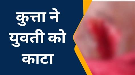 आगरा आवारा कुत्ते के आतंक से ग्रामीण भयभीत युवती को काटकर किया घायल