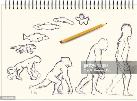 Evolution Journal Photos And Premium High Res Pictures Getty Images