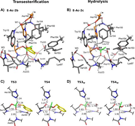 Optimized Geometries Of The Reactants Of The Second Half Reaction With