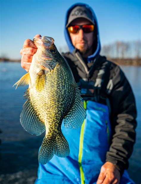 Crappie Chronicles Returns To Youtube Crappienow