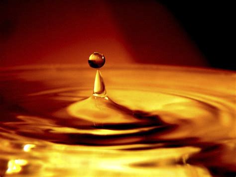 Splash, Splash, Splash! The Art of Macro Photography - Daddu
