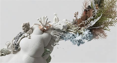 How Do Polar Regions React To Acidification → Learn