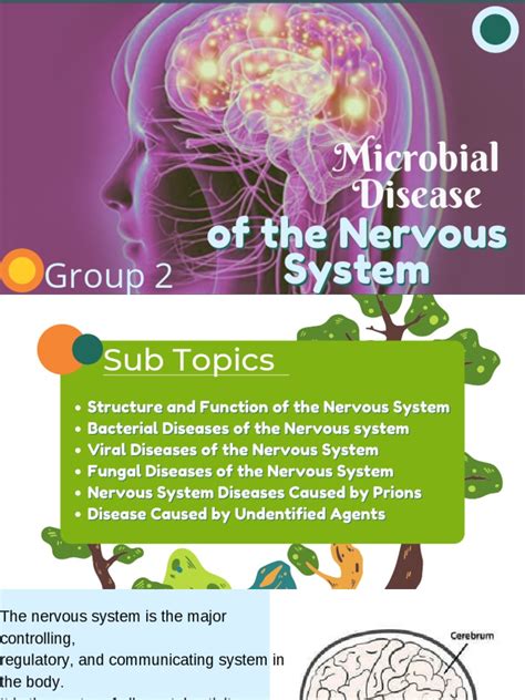 Microbial Disease Of The Nervous System Download Free Pdf Central