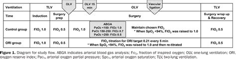Figure 1 From Continuous Titration Of Inspired Oxygen Using Oxygen Reserve Index To Decrease