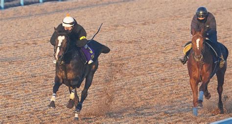【ホープフルs1週前追い】ラーグルフ 順調＆条件良し、宗像師「中山は走っているのでいいはず」― スポニチ Sponichi Annex ギャンブル