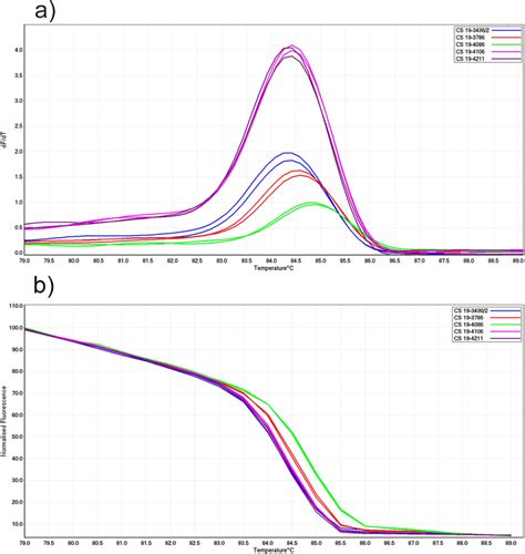 Conventional And Normalised Melt Curve Analysis Of S Zooepidemicus