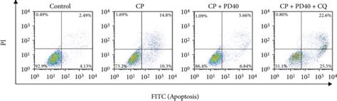Pd Attenuated Cisplatin Induced Apoptosis Of Hk 2 Cells By Restoring