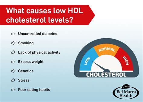 Bel Marra Health Hdl Cholesterol Cholesterol What Causes High