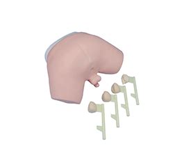 临床系列深圳医博士 医博士医教科技模型生产厂家医博士医教科技 丨医学教学模型 丨心肺复苏模型丨急救护理模型丨深圳医博士