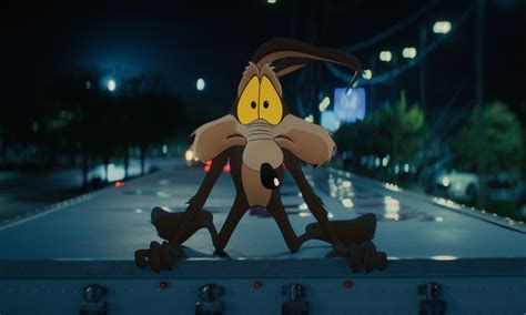 Coyote Vs Acme Is Opening In Theaters This Summer Writer Of Pop