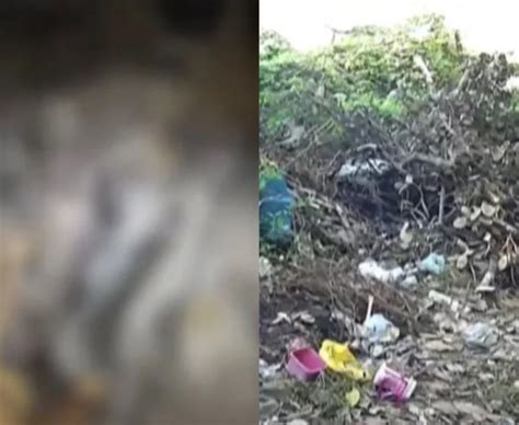 Corpo carbonizado é encontrado em matagal e suspeito de homicídio é preso em Teresina Portal