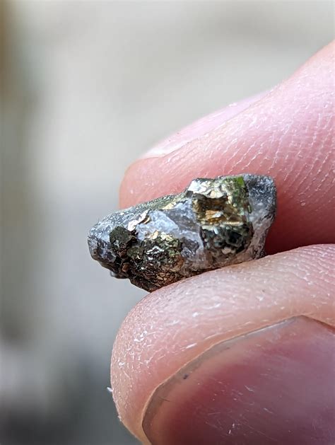 Third Cousin 11 Found This Was Wanted To Show It Off R Rockhounds