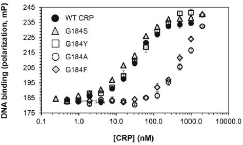 In Vitro Dna Binding Activities Of G184x Mutants A Fluorescence