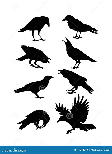 Black Crow Silhouettes Stock Vector Illustration Of Sticks 71842879