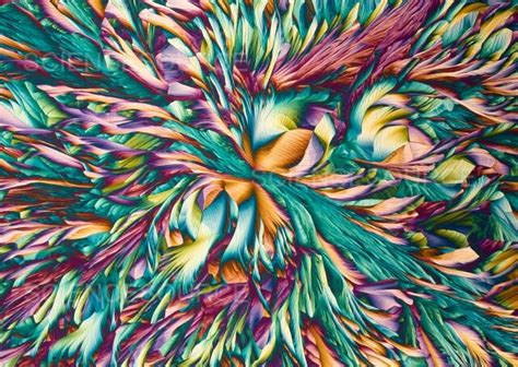Essential Amino Acids Polarized Light Stock Image Science Source