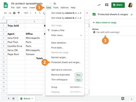 Protect Spreadsheets CustomGuide